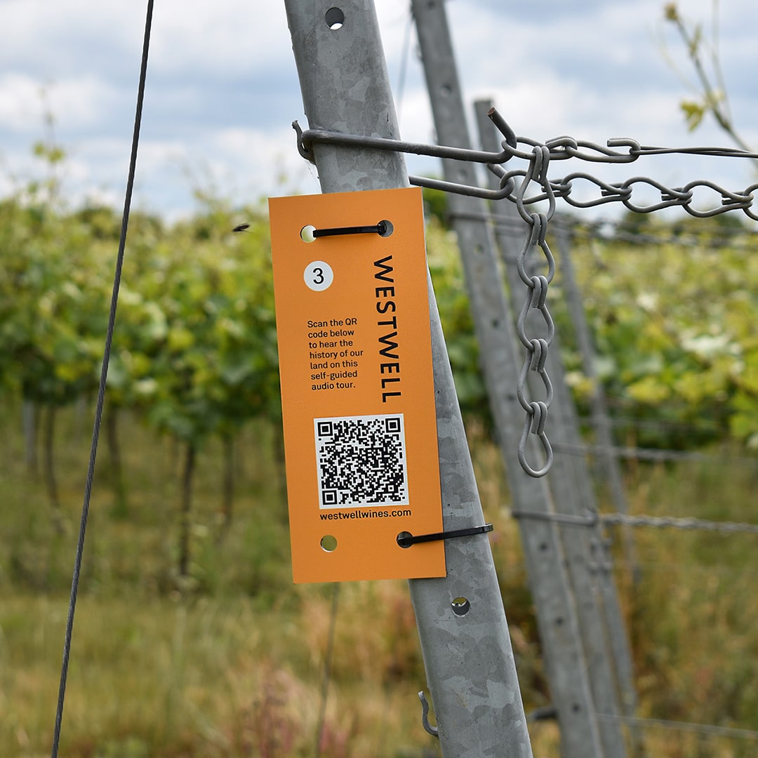 Vineyard Tour & Tasting Picnic for Two | Westwell Wines – Westwell Wine ...