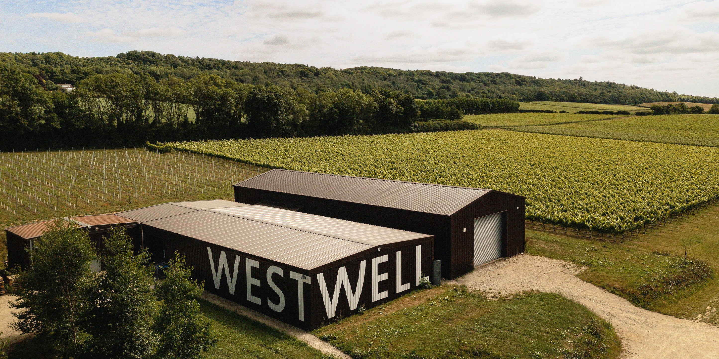 Westwell Wines | Premium English Still & Sparkling Wines – Westwell ...