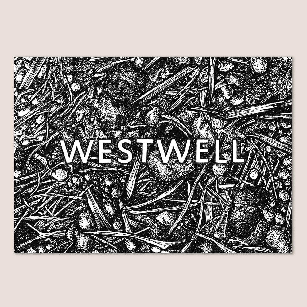 Shop | Westwell Wines – Westwell Wine Estates