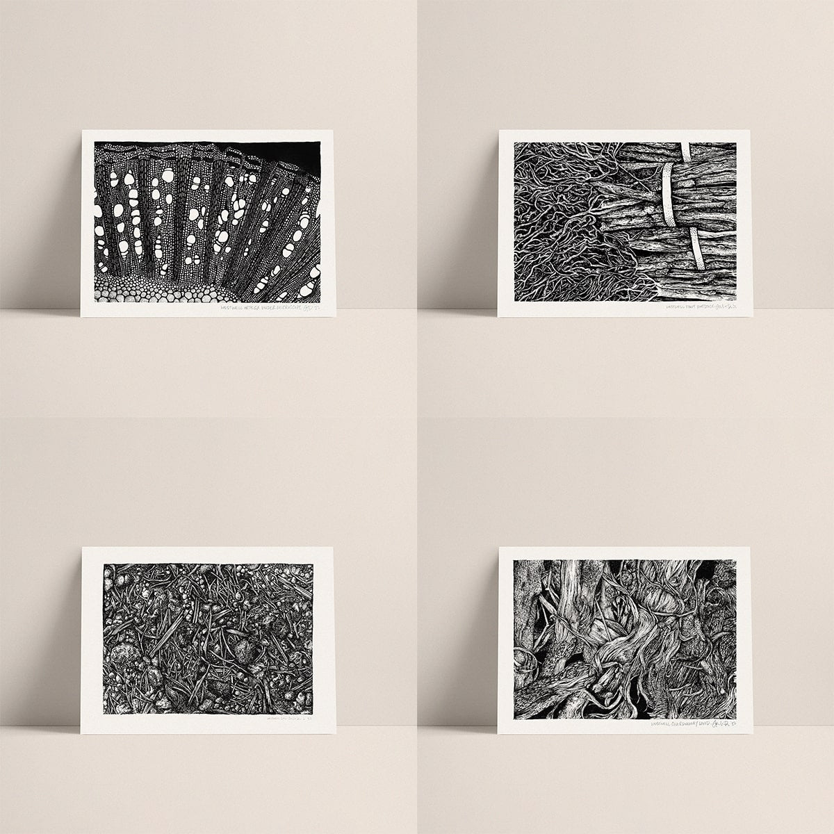 Westwell Label Illustration Prints | Westwell Wines – Westwell Wine Estates